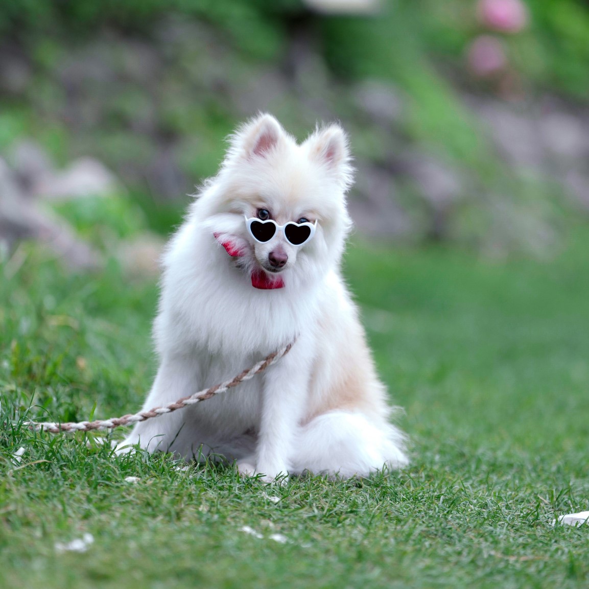 Someone is supposed to show up here